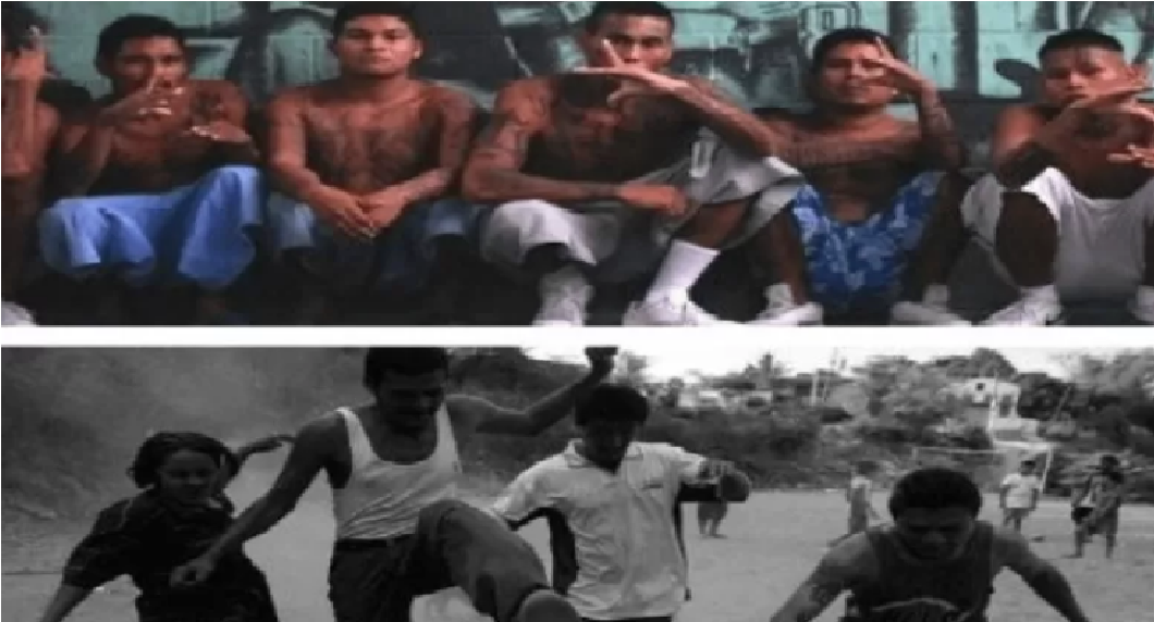 Las pandillas y bandas de Querétaro; historias de pandilleros ...